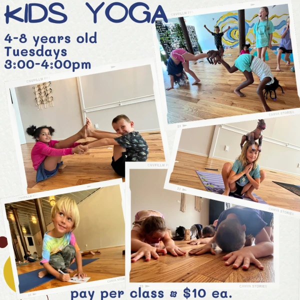 Schedule | Zen Rabbit Yoga