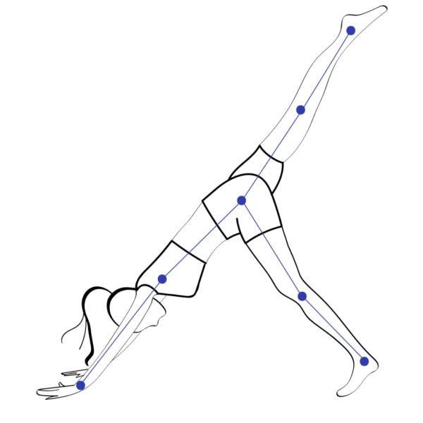 Yoga in Travelers Rest | Zen Rabbit Yoga